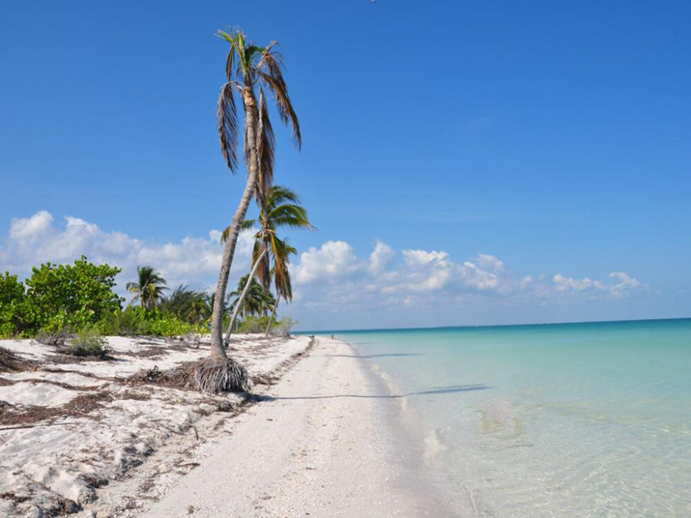 5 curiosities you should know about Holbox before visiting