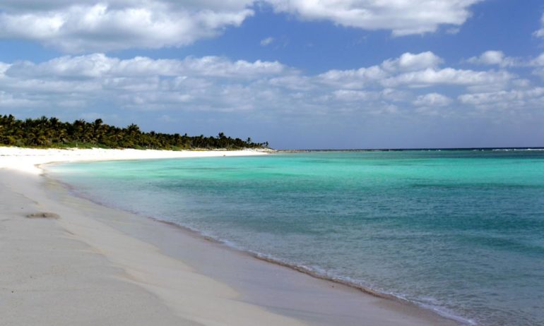 Xcacel and Xcacelito, sanctuary of sea turtles in the Mayan River