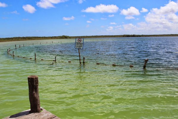 The Kaan Luum Lagoon, the Hidden wonder of Tulum