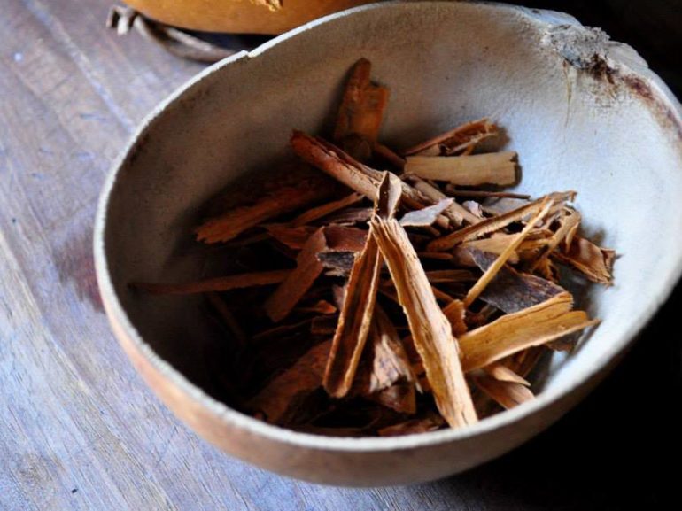 The Balche, the ceremonial drink of the Mayans - Mayan Riviera Tours